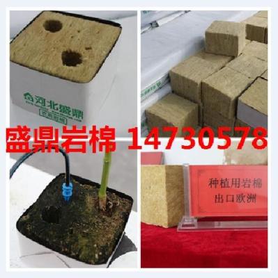 海南省万宁市新技术农业岩棉块培育蔬菜瓜果 中科商务网
