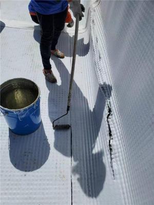 西安虹吸覆布排水板 PED高分子防护异型片 中科商务网