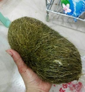 青海哪里长期收购羊宝的联系方式 中科商务网