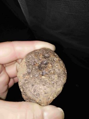 滩坊天然石陨石收购电话 中科商务网