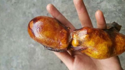 商丘鸡宝怎么用 中科商务网
