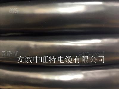 TRJ 2设备引出线接地线 中科商务网