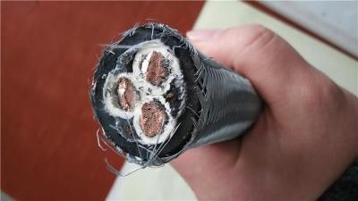 kx-sh-fpfp补偿导线/补偿导线_中科商务网