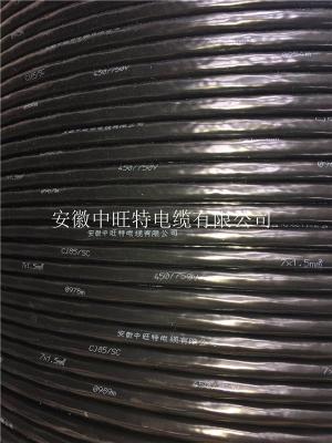 ZRC-KX-G-FP1FP1导线_中科商务网