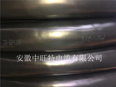 SC阻燃屏蔽补偿导线 中科商务网