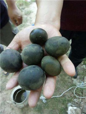 天津500克羊宝功效 中科商务网