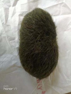 宜春猪宝的作用 中科商务网