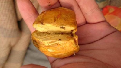 郑州鸡宝的价格 中科商务网