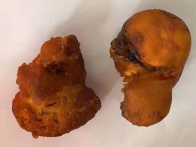 嘉兴鹅宝最新价格 中科商务网