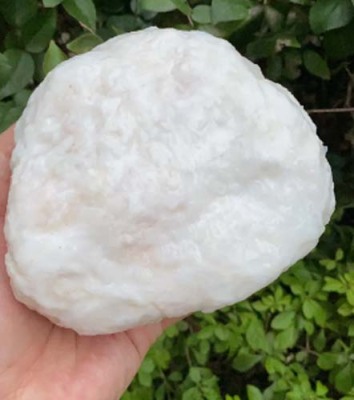 云浮鉴定灵芝免费咨询 中科商务网