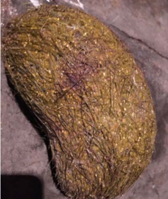 崇明鸭宝收购 中科商务网