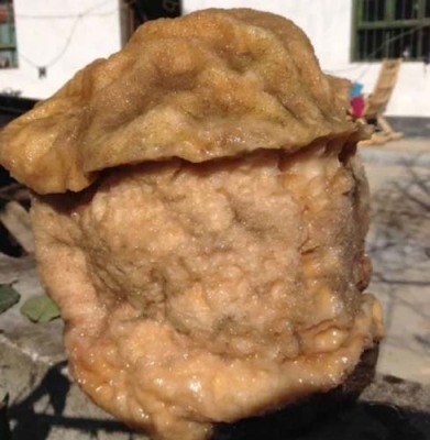 巴彦淖尔太岁的功效 中科商务网