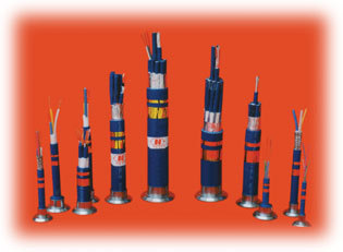 ZR-NC-FVF-FFP-VVRP-HF4-FF46P2_中科商务网